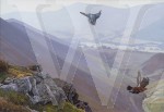 Exhibition Of Wildlife Art