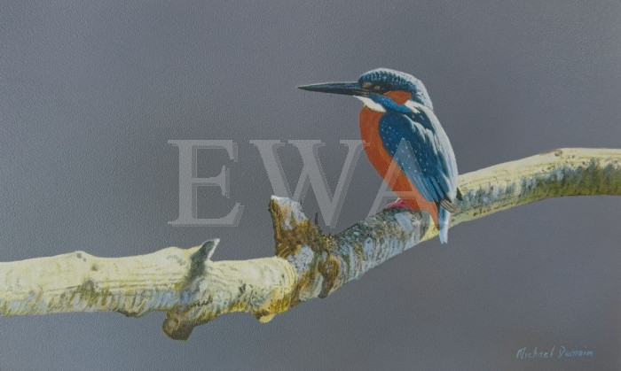 Exhibition Of Wildlife Art